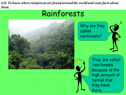 Rainforest | Teaching Resources