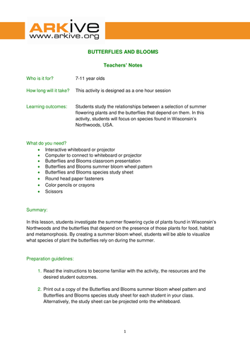 Butterflies and Blooms | Teaching Resources