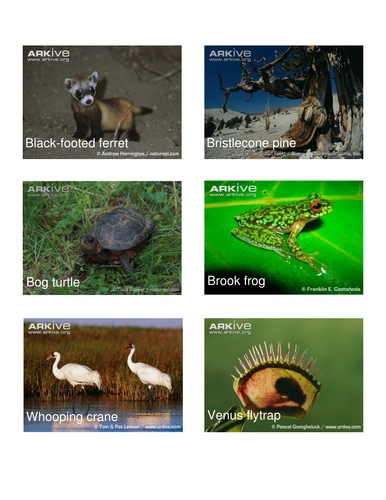 ARKive Geographic | Teaching Resources