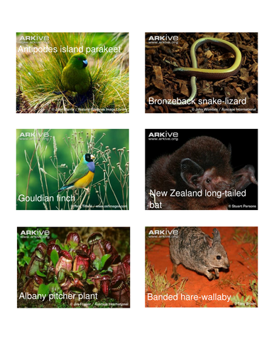 ARKive Geographic | Teaching Resources