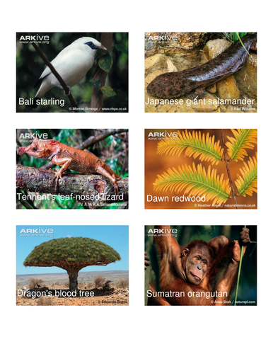 ARKive Geographic | Teaching Resources