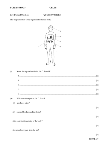 GCSE Cells questions and answers | Teaching Resources