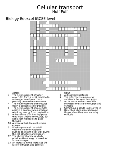 Cellular Transport Crossword puzzle | Teaching Resources