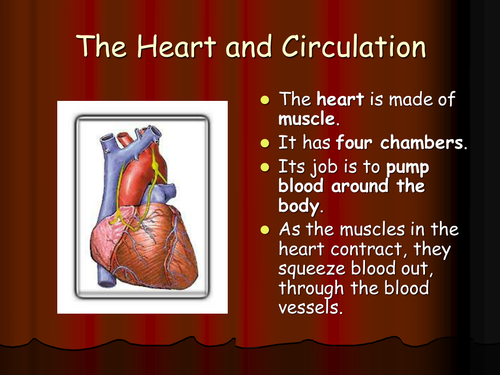 HEART AND CIRCULATION PPT YR 8 | Teaching Resources
