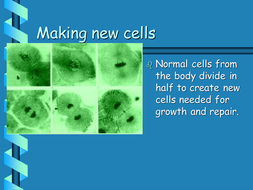 Making new cells | Teaching Resources