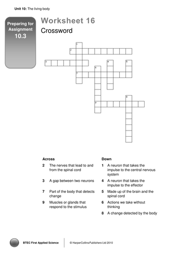 BTEC Unit 10 Ass. 3 Neurons lesson and resources | Teaching Resources