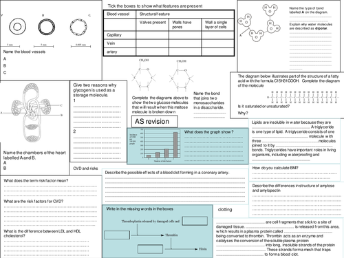 edexcel AS Biology revision sheet topic 1 | Teaching Resources