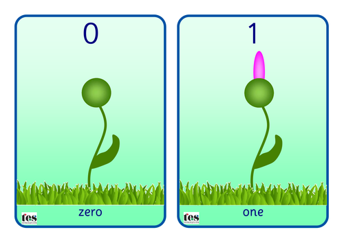 Flower Petal Counting and Number Bonds Cards | Teaching Resources
