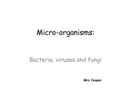 Introduction to bacteria, viruses and fungi | Teaching Resources