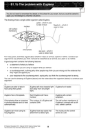 B1.1 - Classification | Teaching Resources