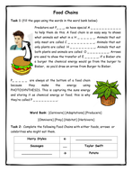 Food Chains Introduction | Teaching Resources