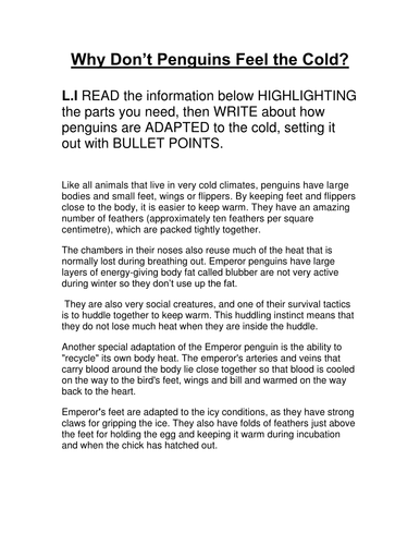 Emperor Penguins | Teaching Resources