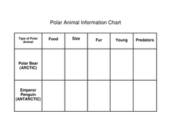 Polar Bears | Teaching Resources