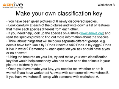 Species Discovery - Keys and Classification by ARKive - UK Teaching ...