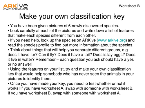 Species Discovery - Keys and Classification | Teaching Resources