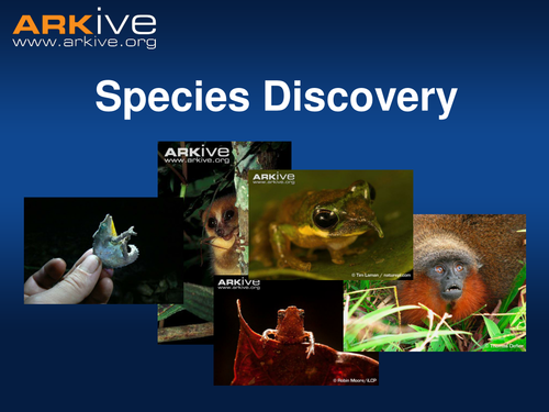 Species Discovery - Keys and Classification | Teaching Resources