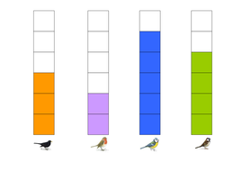 Bird Watch: Data Handling and Bar Charts | Teaching Resources