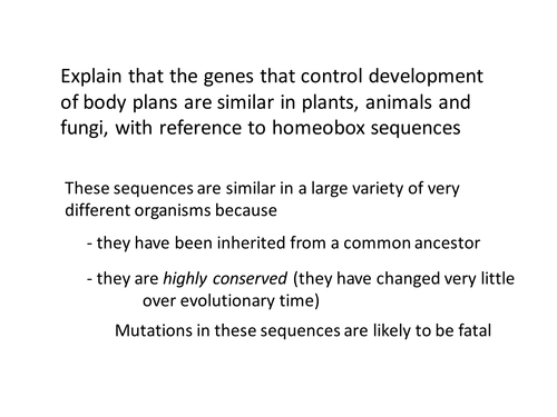 Homeobox Genes | Teaching Resources