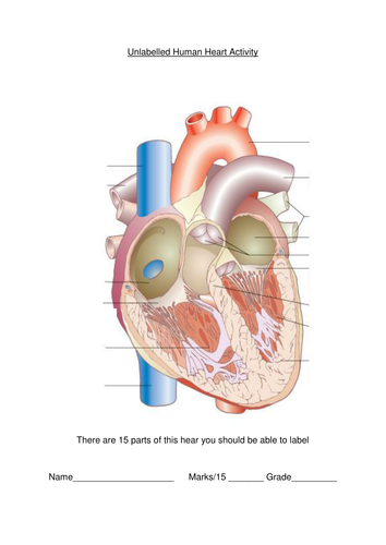 Biol 1 Heart and Disease | Teaching Resources