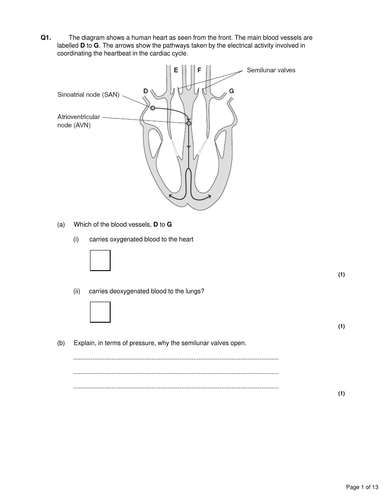 Biol 1 Heart and Disease | Teaching Resources