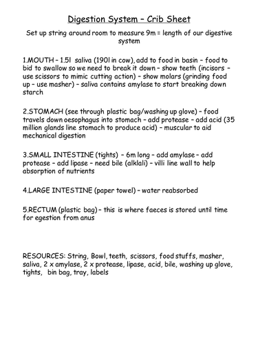 Digestion and differentiated ws - UPDATED | Teaching Resources
