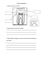 Assessment Teeth Content Assessment (Lesson 8).docx (276 KB, Microsoft ...