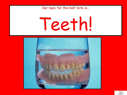 Teeth Unit Plan | Teaching Resources