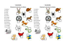 Animals Spanish lesson starter sheet - pictures | Teaching Resources