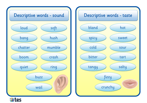 Descriptive words - the senses | Teaching Resources