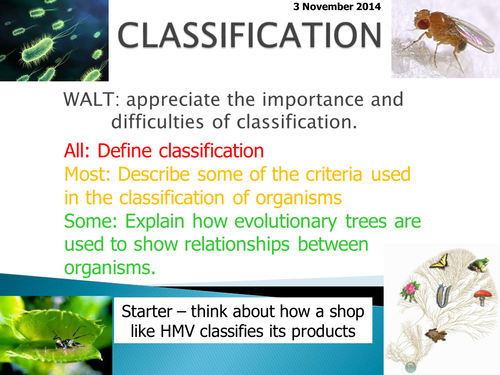 Biology GCSE / A-level classification lesson | Teaching Resources Biology GCSE / A-level classification lesson | Teaching Resources