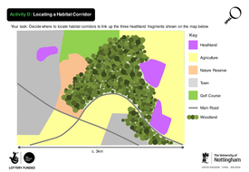 Heathland - Mapping for Climate Change | Teaching Resources