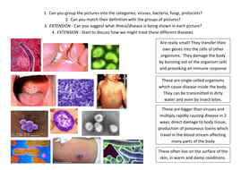 Pathogens Table; virus, bacteria, fungi, protocis | Teaching Resources