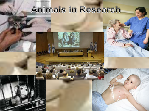 Animals in Research Debate, science, ethics | Teaching Resources