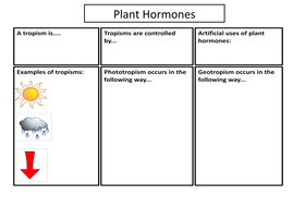 Plant hormones and tropism table | Teaching Resources