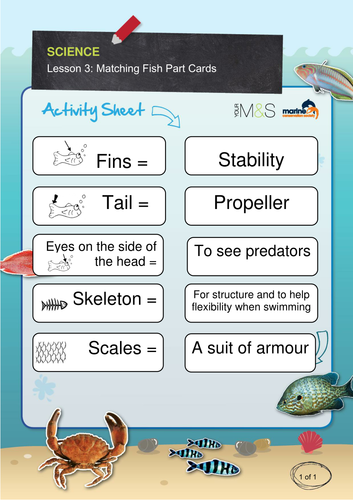 School of Fish REVISED FOR 2013 | Teaching Resources