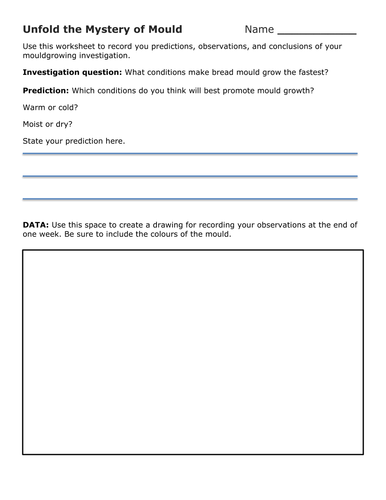 Bread mould investigation | Teaching Resources