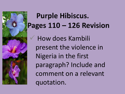 Purple Hibiscus - Chimamanda Ngozi Adichie | Teaching Resources
