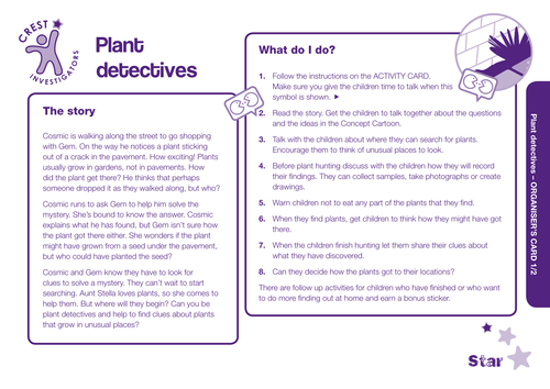 Plant Detectives Star activity | Teaching Resources