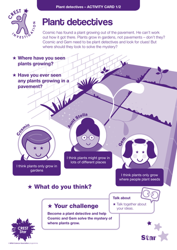 Plant Detectives Star activity | Teaching Resources