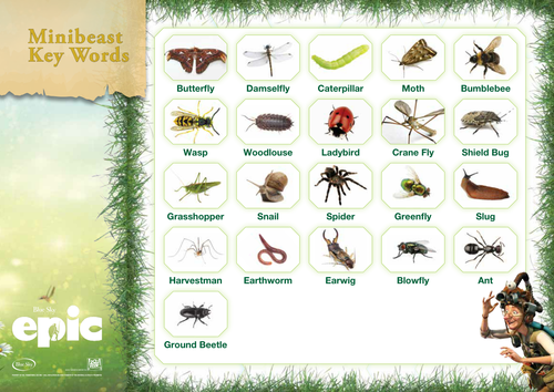 Minibeasts and habitats EPIC - KS1 & KS2 | Teaching Resources