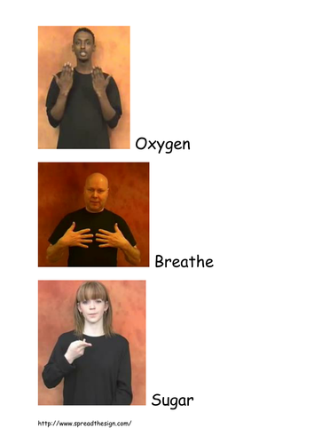 Respiration key words sign language | Teaching Resources