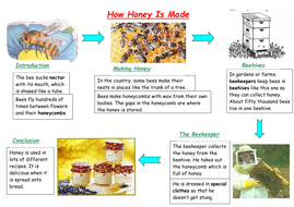 Explanation texts (updated) | Teaching Resources