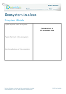 Ecosystem in a box | Teaching Resources