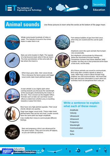 How do animals use sound | Teaching Resources