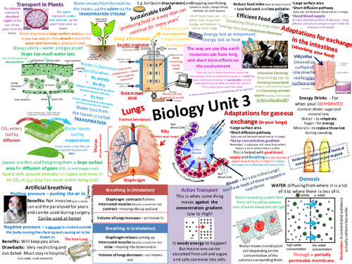 B3 AQA Biology Revision Posters (new spec) by vemann86 - UK Teaching ... B3 AQA Biology Revision Posters (new spec) by vemann86 - UK Teaching ...