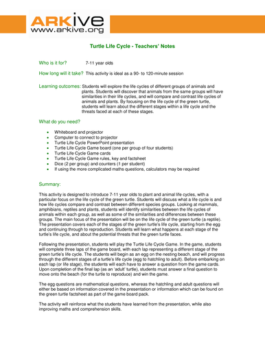 Turtle Life Cycle | Teaching Resources