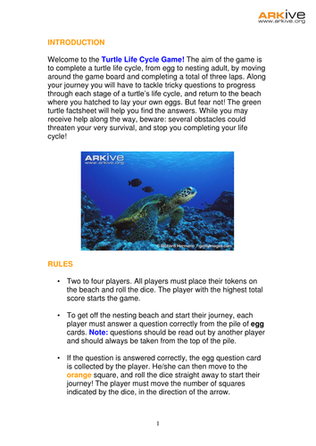 Turtle Life Cycle | Teaching Resources