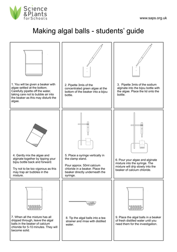Photosynthesis practical - using algal balls | Teaching Resources