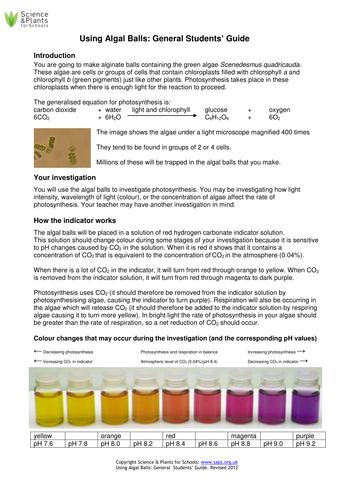 Photosynthesis practical - using algal balls | Teaching Resources