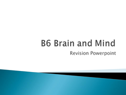 B6 Revision Lessons; nervous system | Teaching Resources